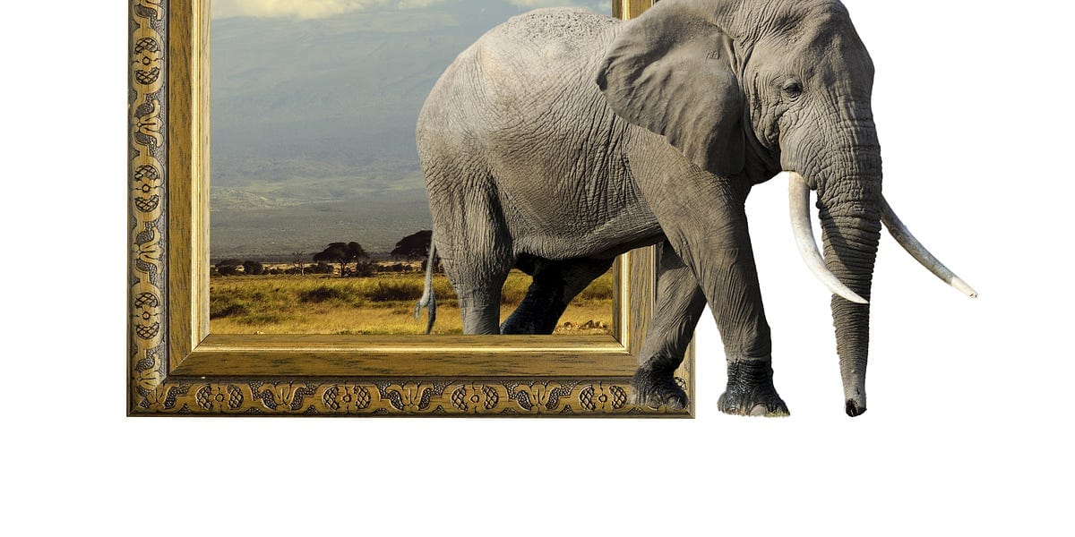 Moral Warfare 101: Frames and Your Brain - FrameLab